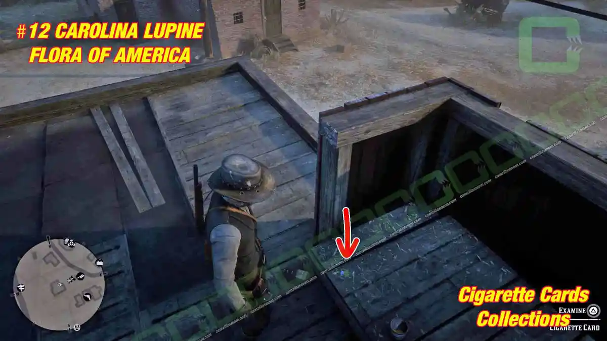 Red Dead Redemption 2: 12 Flora of America Collectible Cards